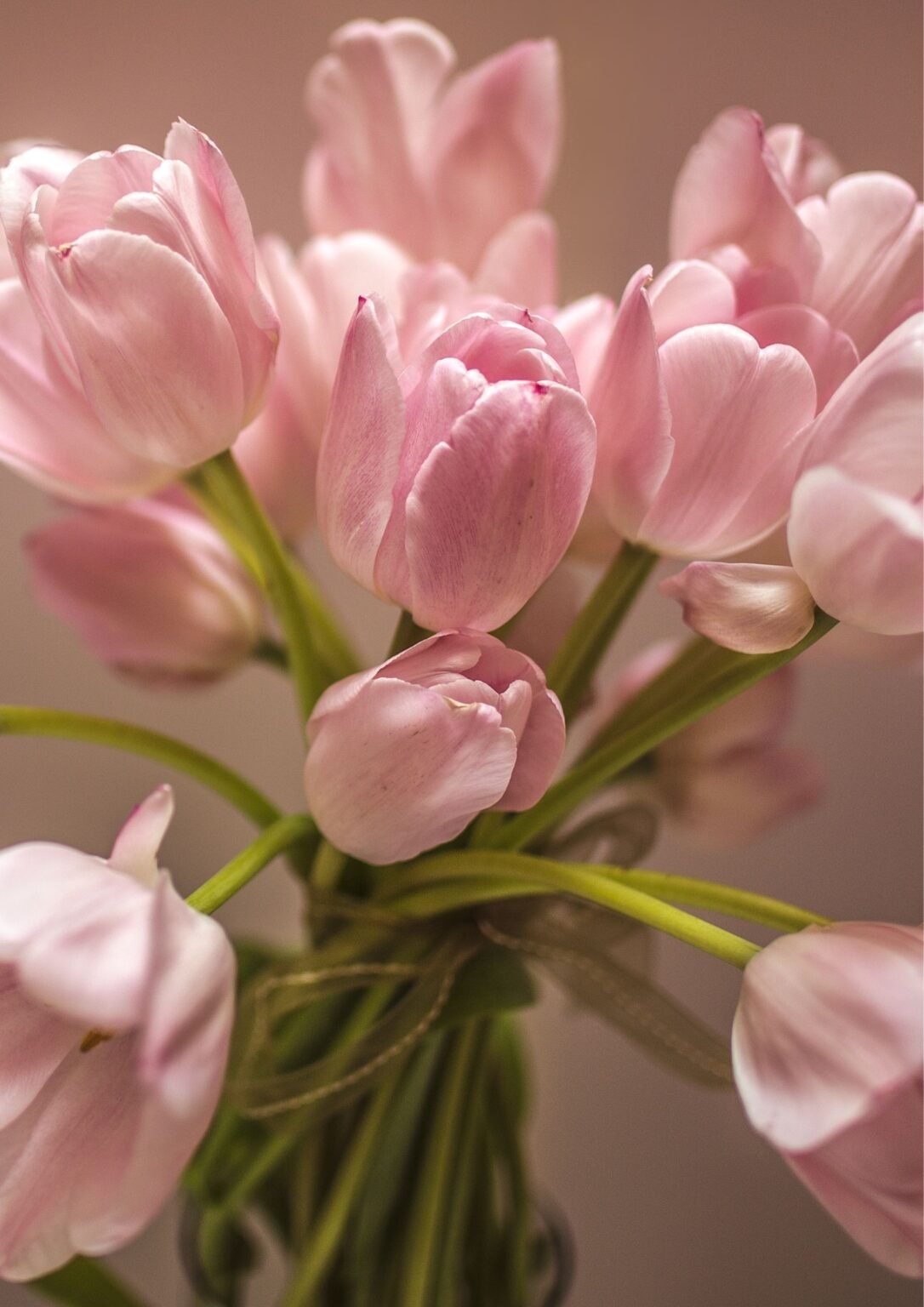 The Frocester, Stonehouse - Quality Inns