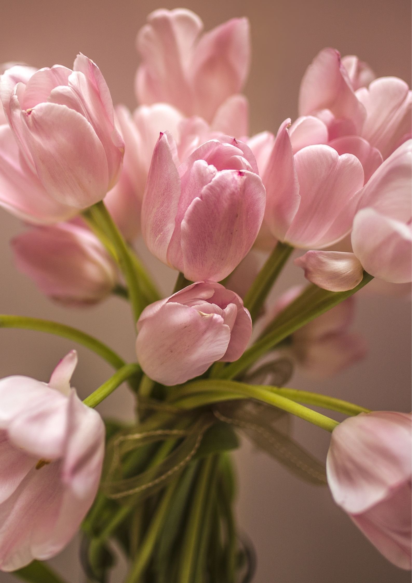 The Frocester, Stonehouse - Quality Inns