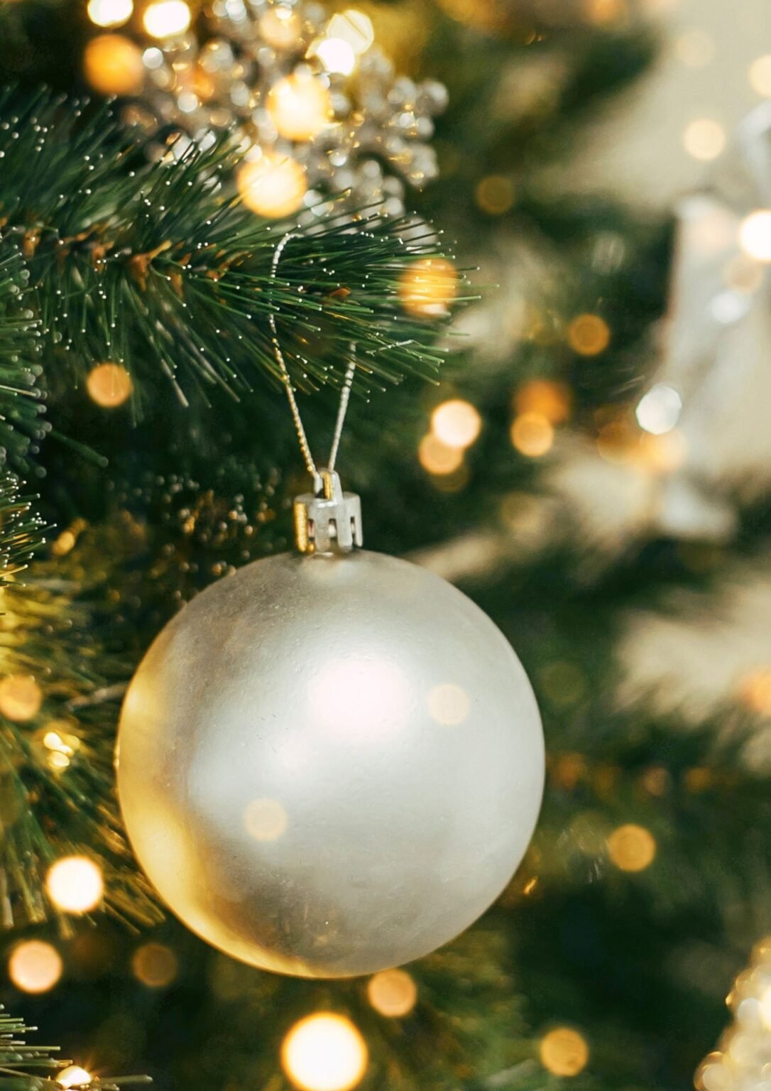 The Charleton, Devon - Quality Inns